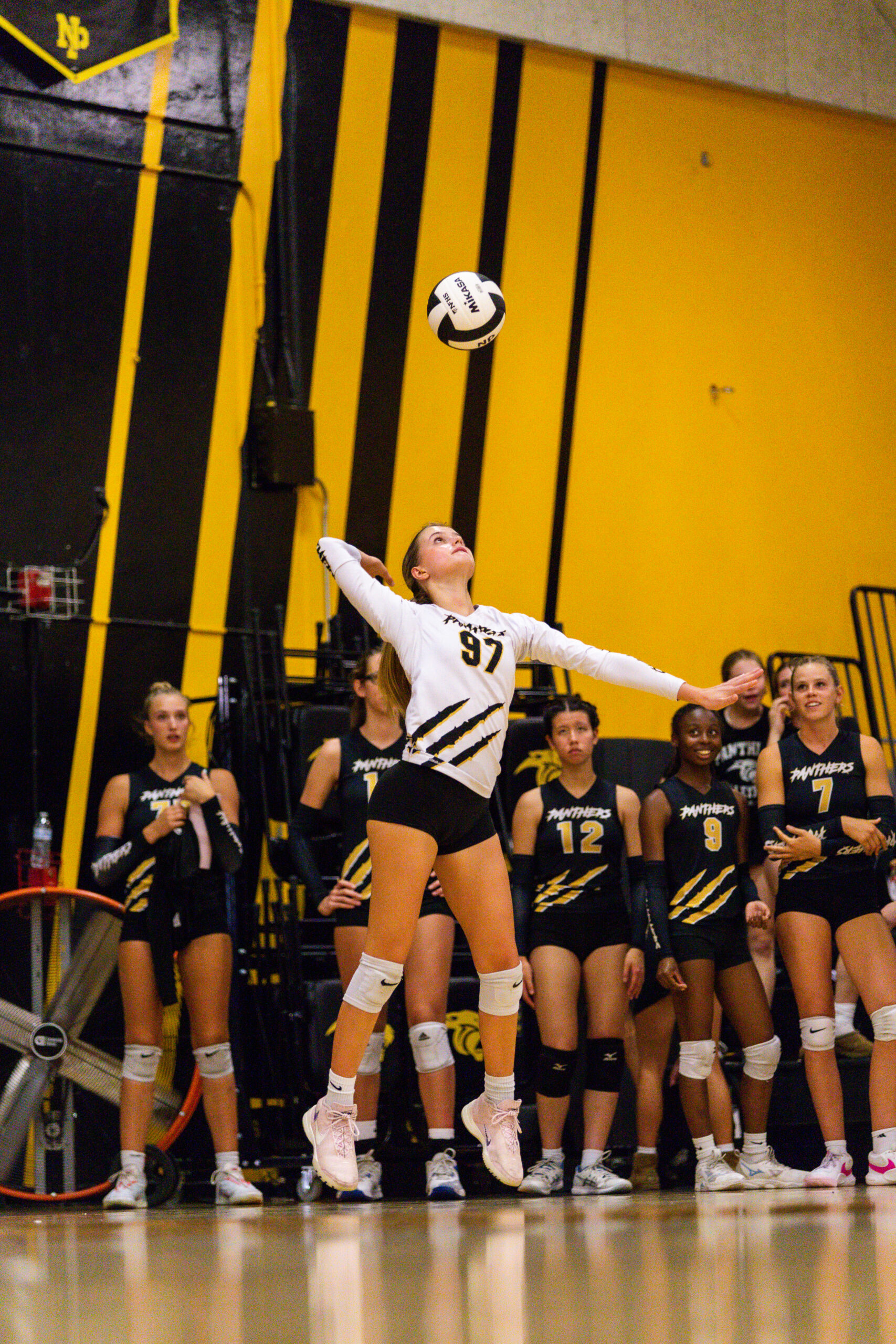 Girls’ varsity volleyball serves on the court » Panther Prowler: the ...